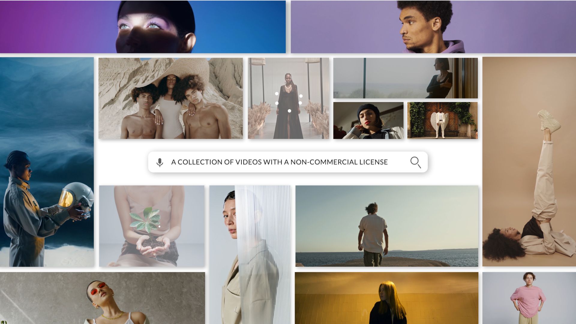 Search Frame Reveal by Promak - Videobolt.net