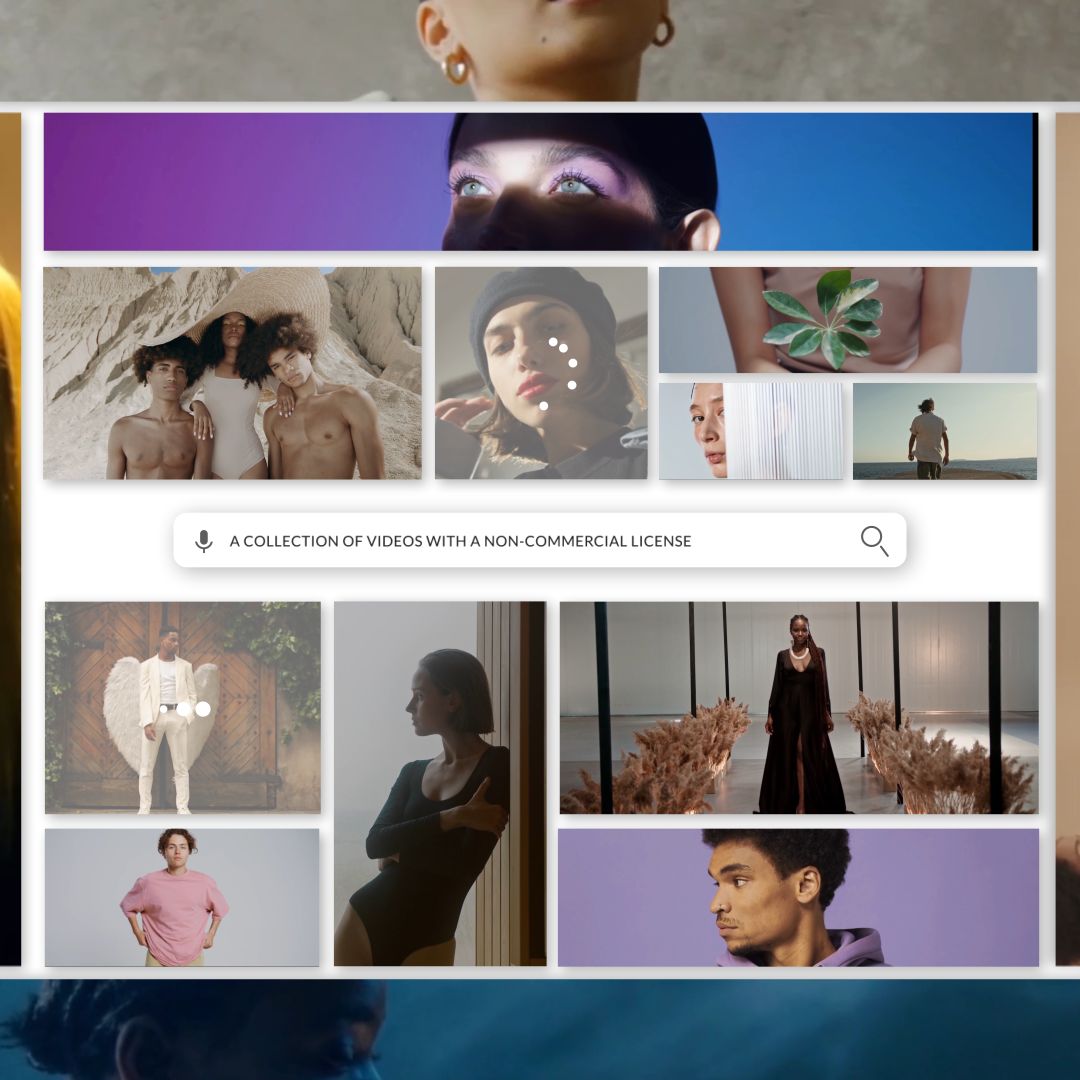 Search Frame Reveal - Square by Promak
