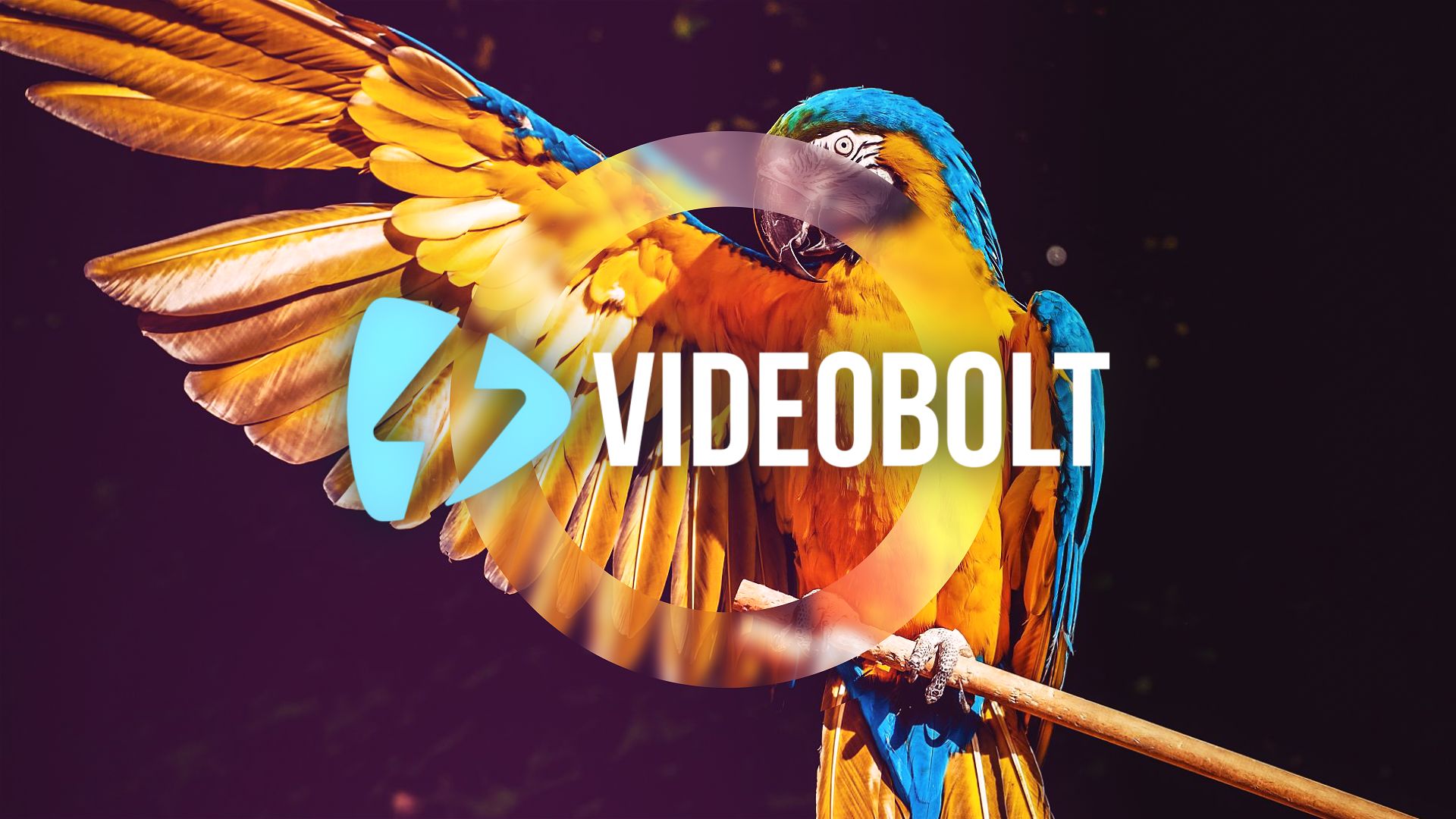 Travelogue Slideshow by PixBolt - Videobolt.net