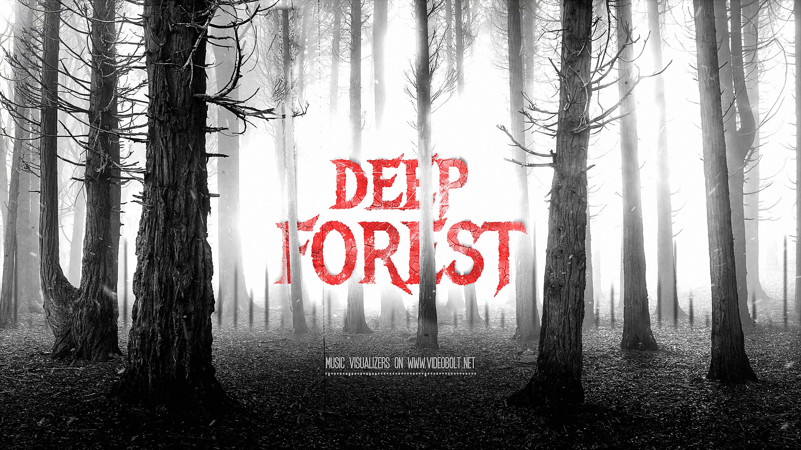 Deep Misty Forest by S_WorX