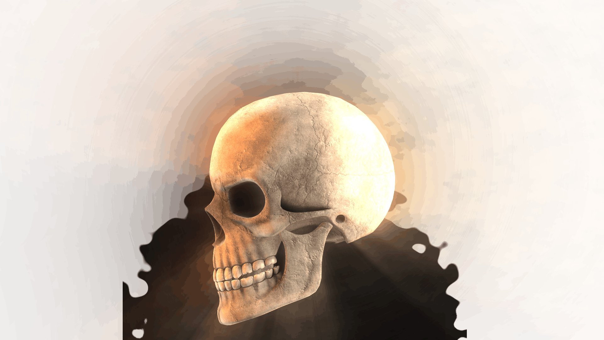 Halloween Spooky Transitions 7 by hushahir - Videobolt.net