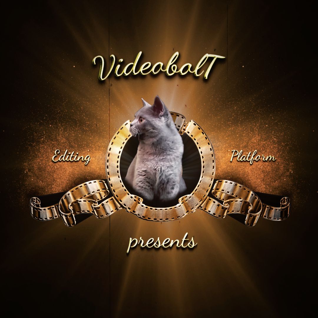 Cinematic Pet - Square by S_WorX - Videobolt.net