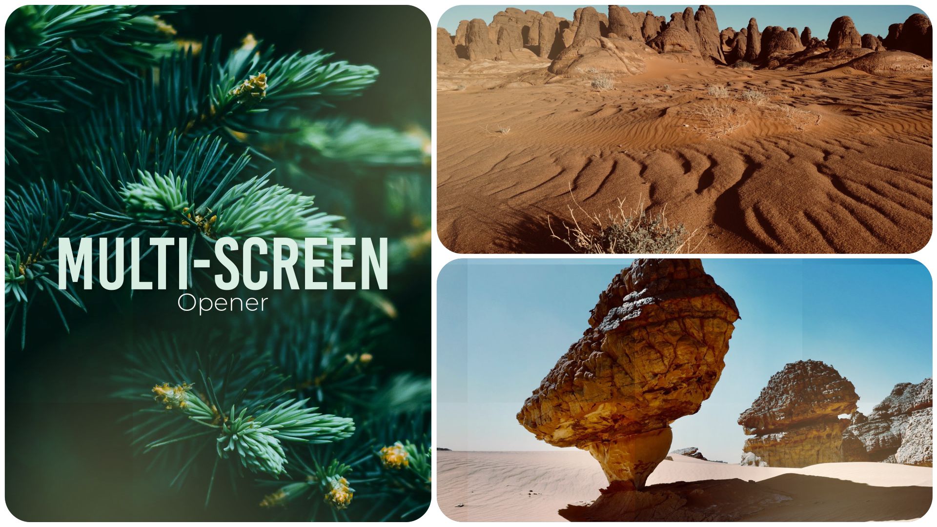 Multi-Screen Media Opener by bvp_pix - Videobolt.net