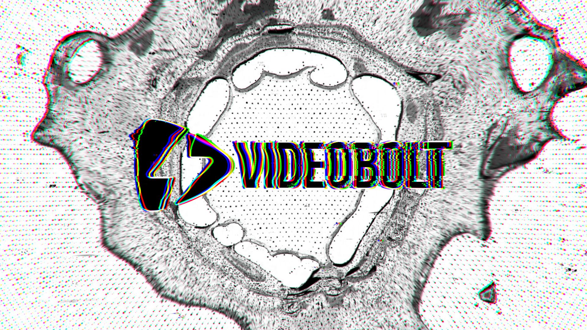Digital Distortion Reveal by MissMotion - Videobolt.net