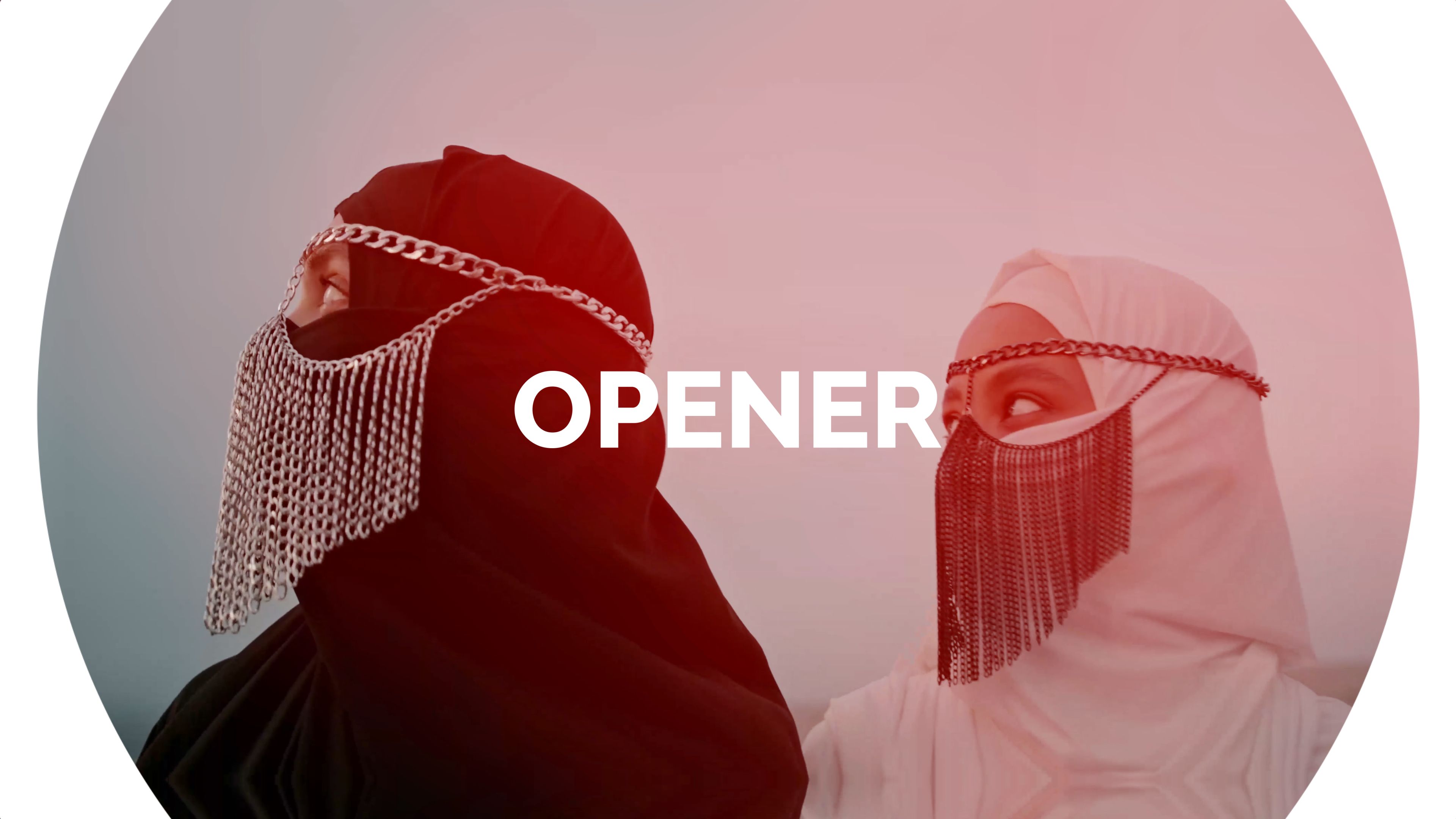 Dynamic Story Reveal by Balalaika - Videobolt.net